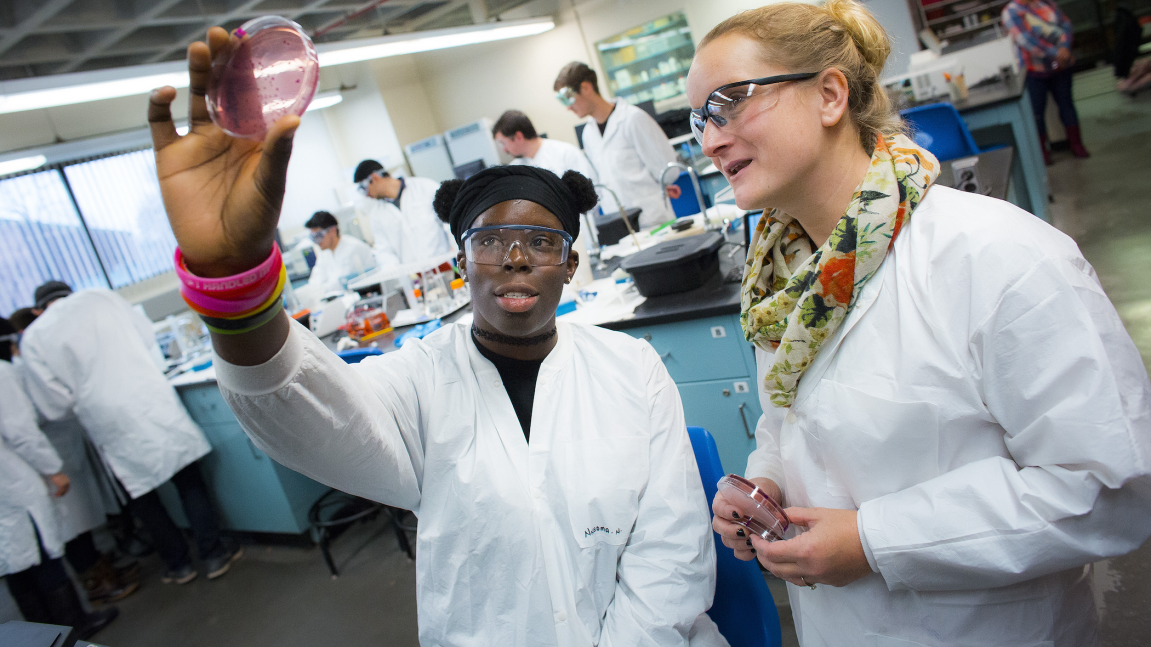 Programs and Funding | Aresty Research Center